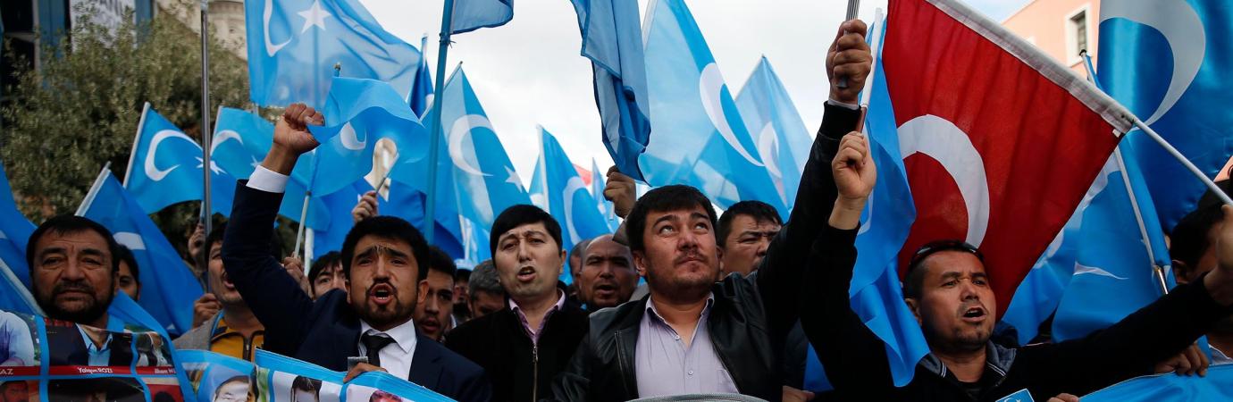 At Home and Abroad: Coercion-by-Proxy as a Tool of Transnational ...