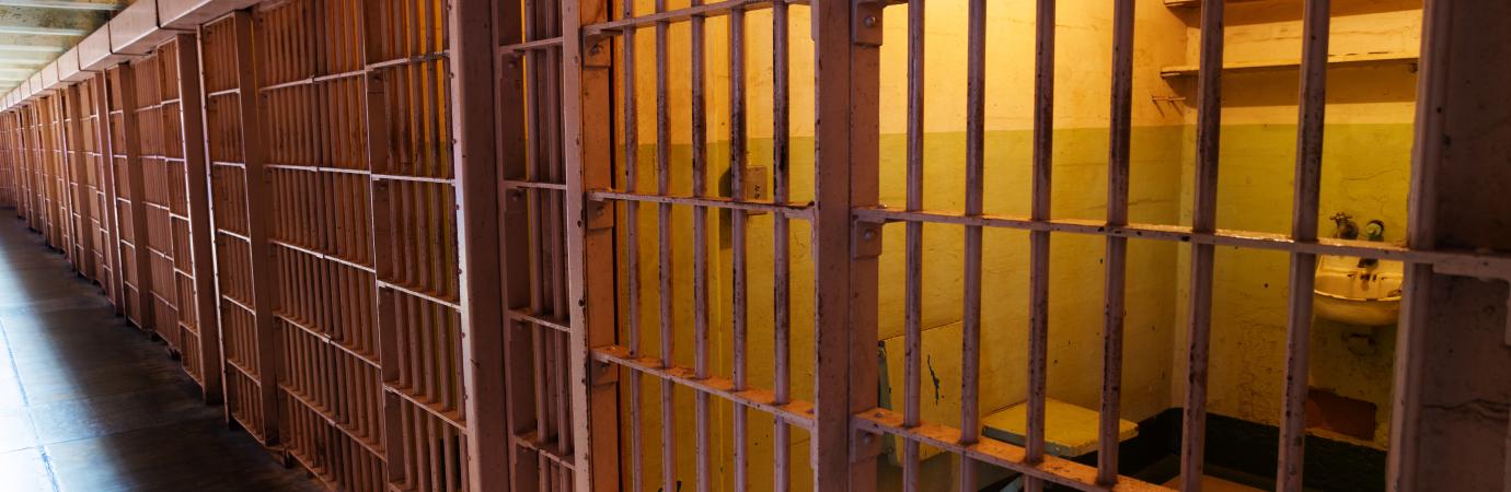 About Our Political Prisoners Program | Freedom House